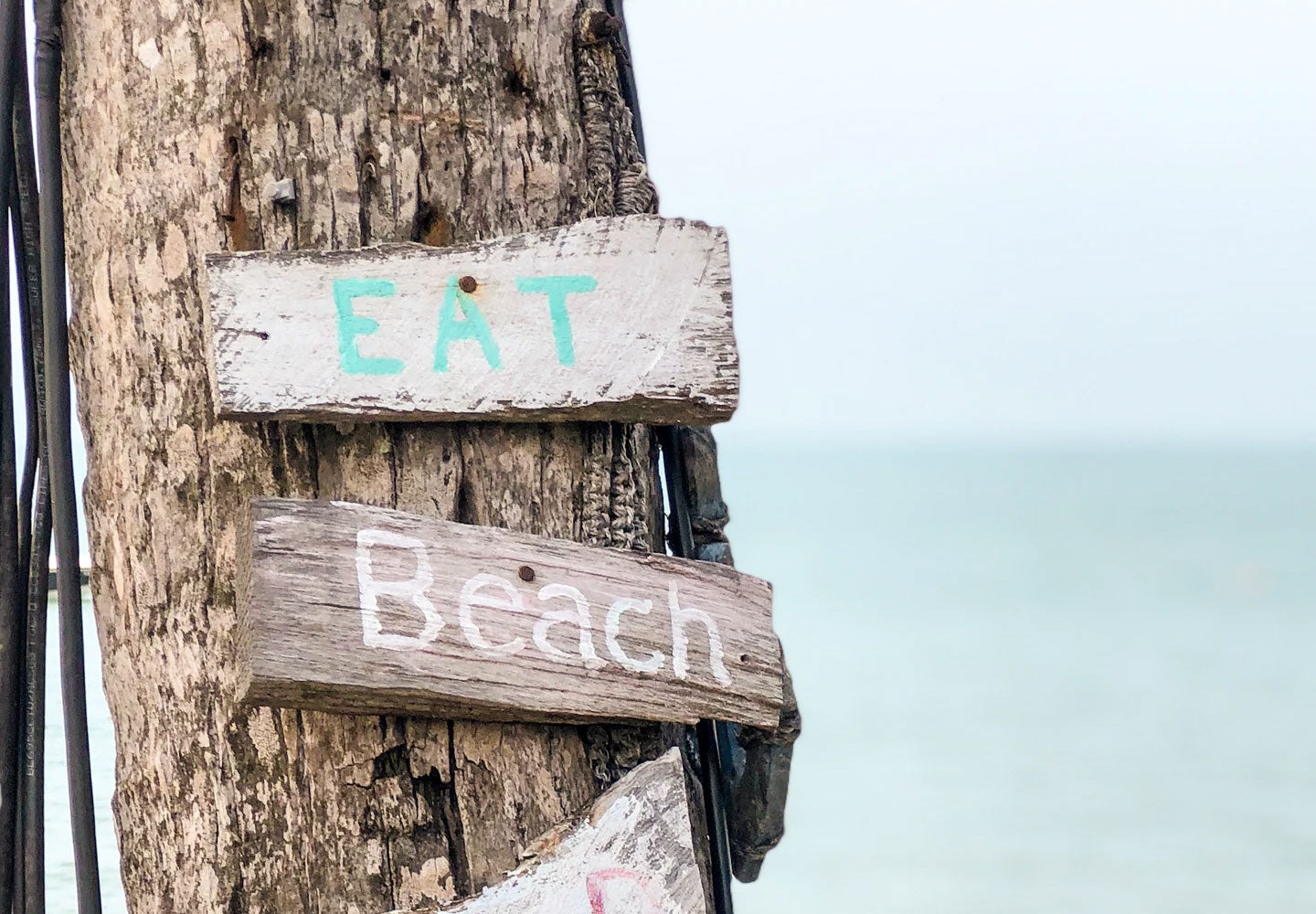 Do you get panicky hungry? – Dr Libby