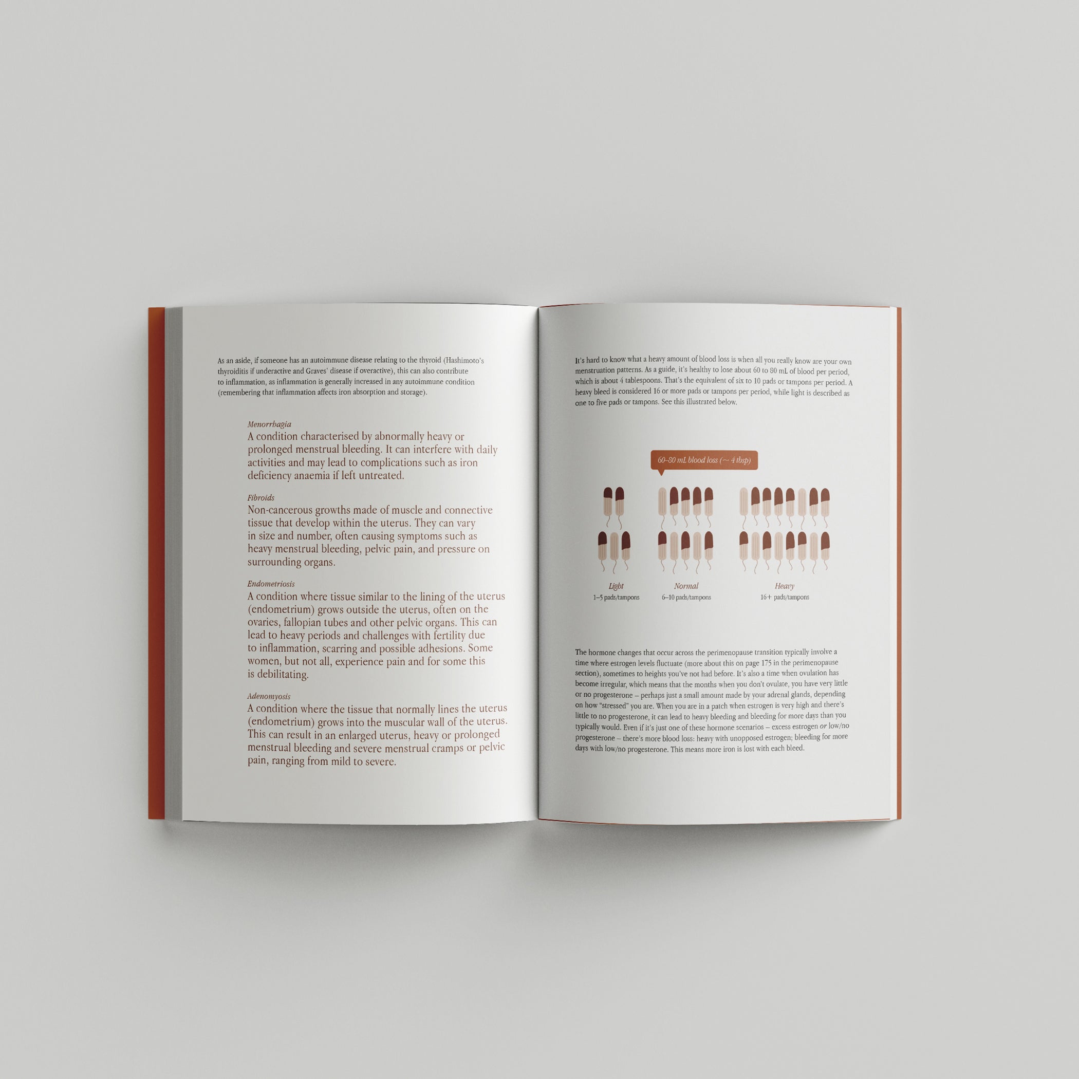 Fix Iron First – Dr Libby